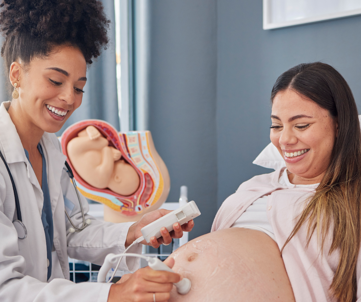 See Your Baby Grow: Ultrasound Videos of Fetal Development